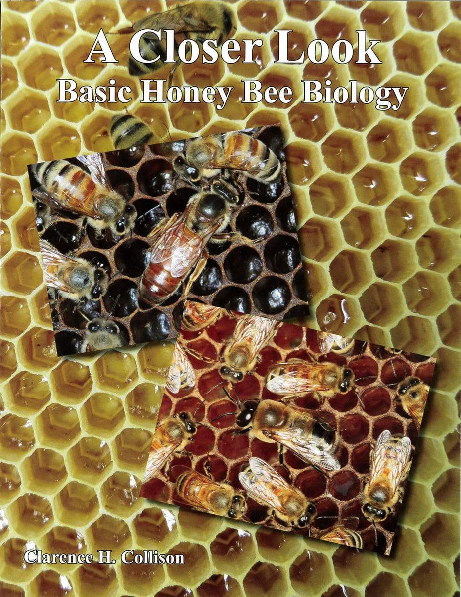 A Closer Look - Basic Honey Bee Biology | Copoco's Honey