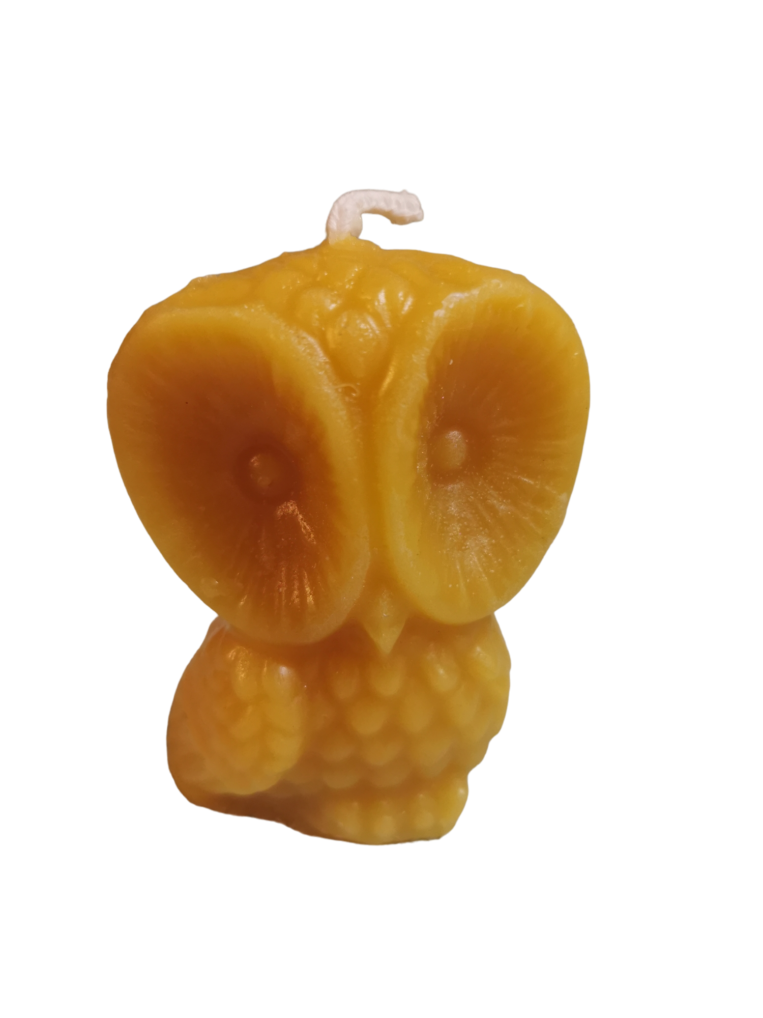 Owl With Large Eyes 100% Pure Beeswax Candle | Copoco's Honey